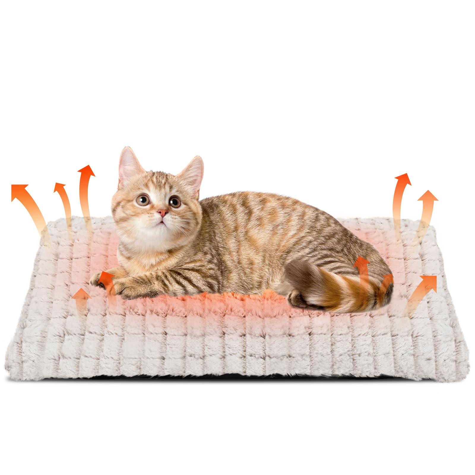 PETTOM Self Heating Cat Bed 60 x 45cm, Cat Beds for Indoor& Outdoor ...
