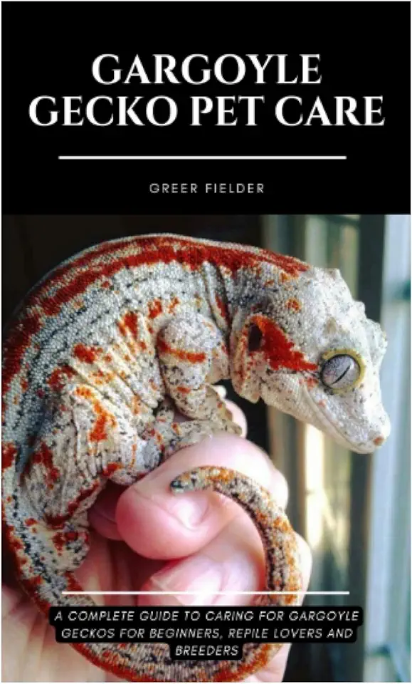 Caring For Geckos: A Guide To Keeping Geckos As Pets | PetShun