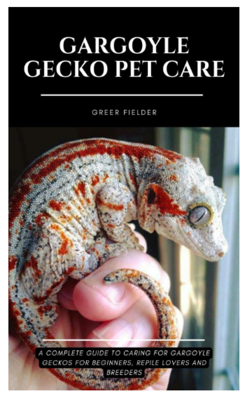 Dwarf Redheaded Gecko Care Guide