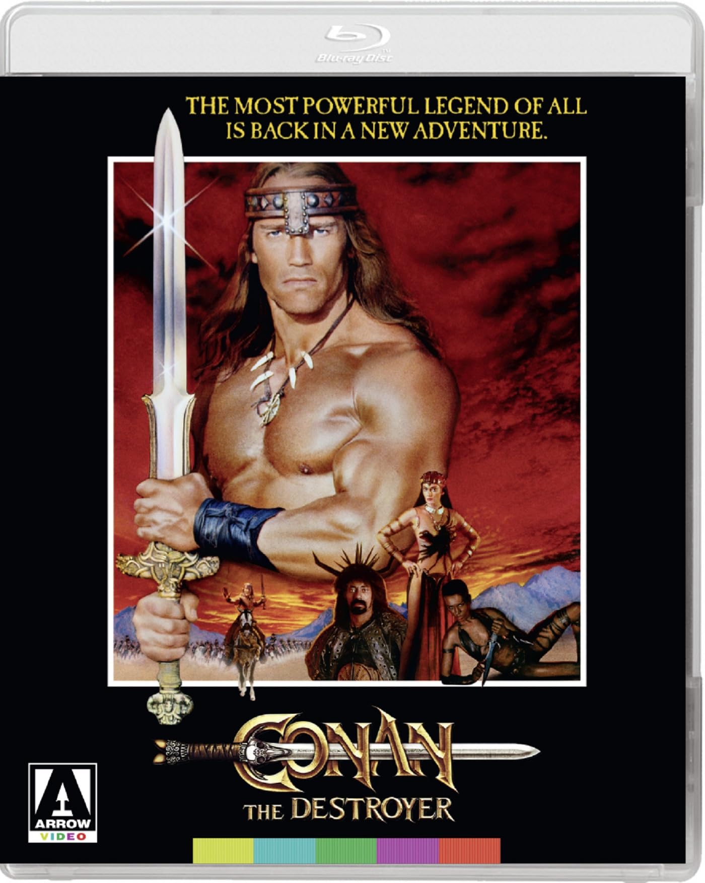 Amazon.com: Conan the Destroyer: Standard Special Edition : Richard ...