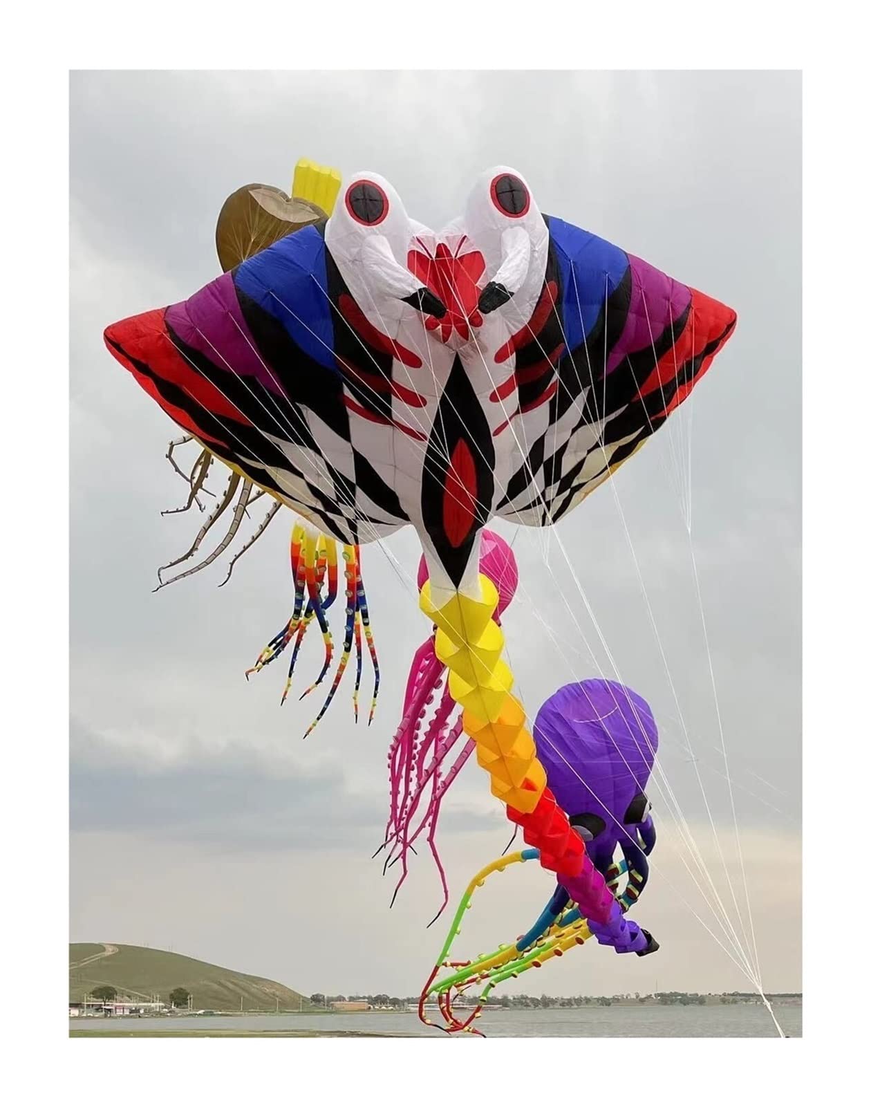 Pez Diablo Calamar Pulpo O Pez Diablo En Forma De Tatuaje Silueta