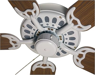 Fanimation OF110OB Extraordinaire Ceiling Fan with Wall Control, 360 ...