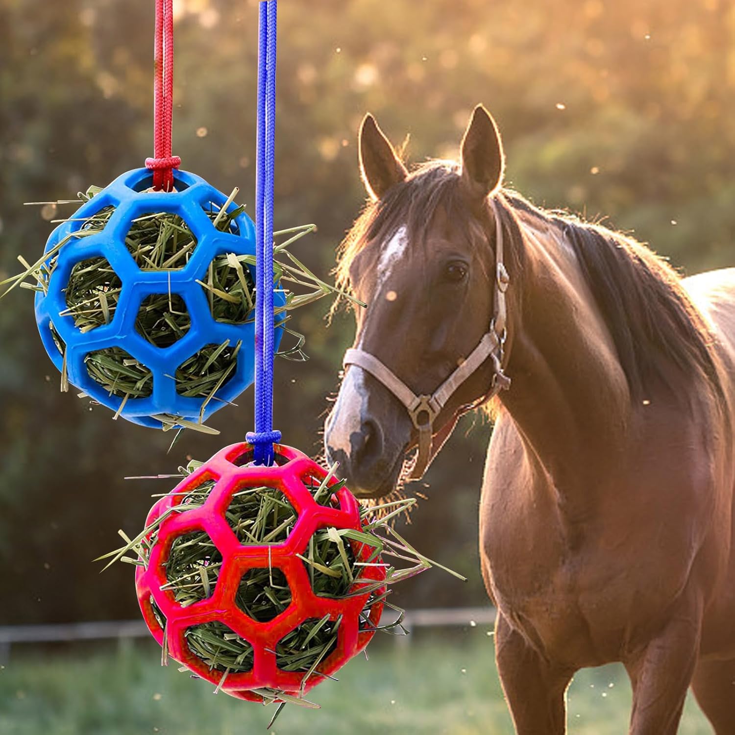 Amazon.com: UOIENRT 2 Pack Horse Treat Ball, Goat Feeder Toys Horse Hay ...