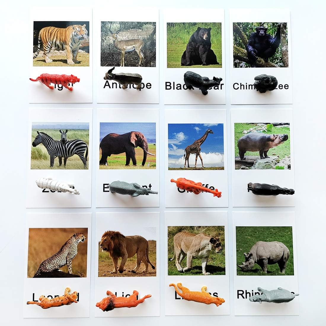 Amazon.com: Montessori Zoo Safari Animal Match - Miniature Figurines ...