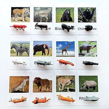 Amazon.com: Montessori Zoo Safari Animal Match - Miniature Figurines ...