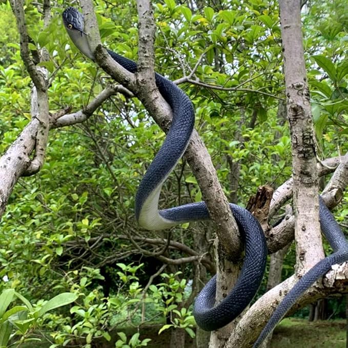 Amazon.com: Gina Neil 53inch Large Size Realistic Rubber Snakes,Bigger ...