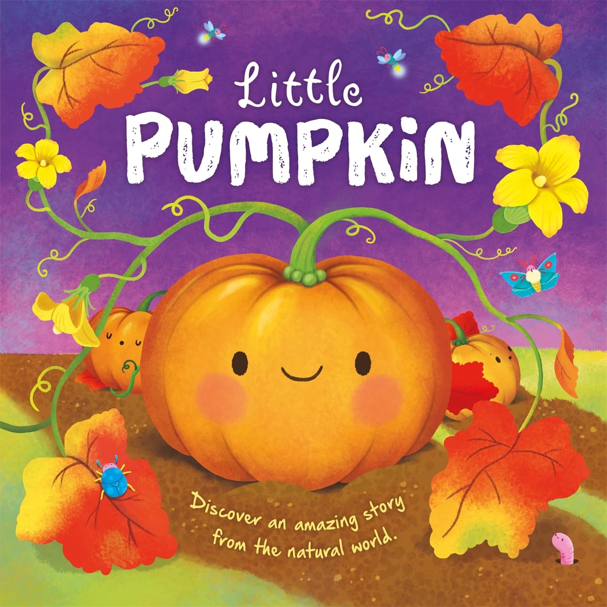 Little Pumpkin (An illustrated story about the life-cycle of a pumpkin ...