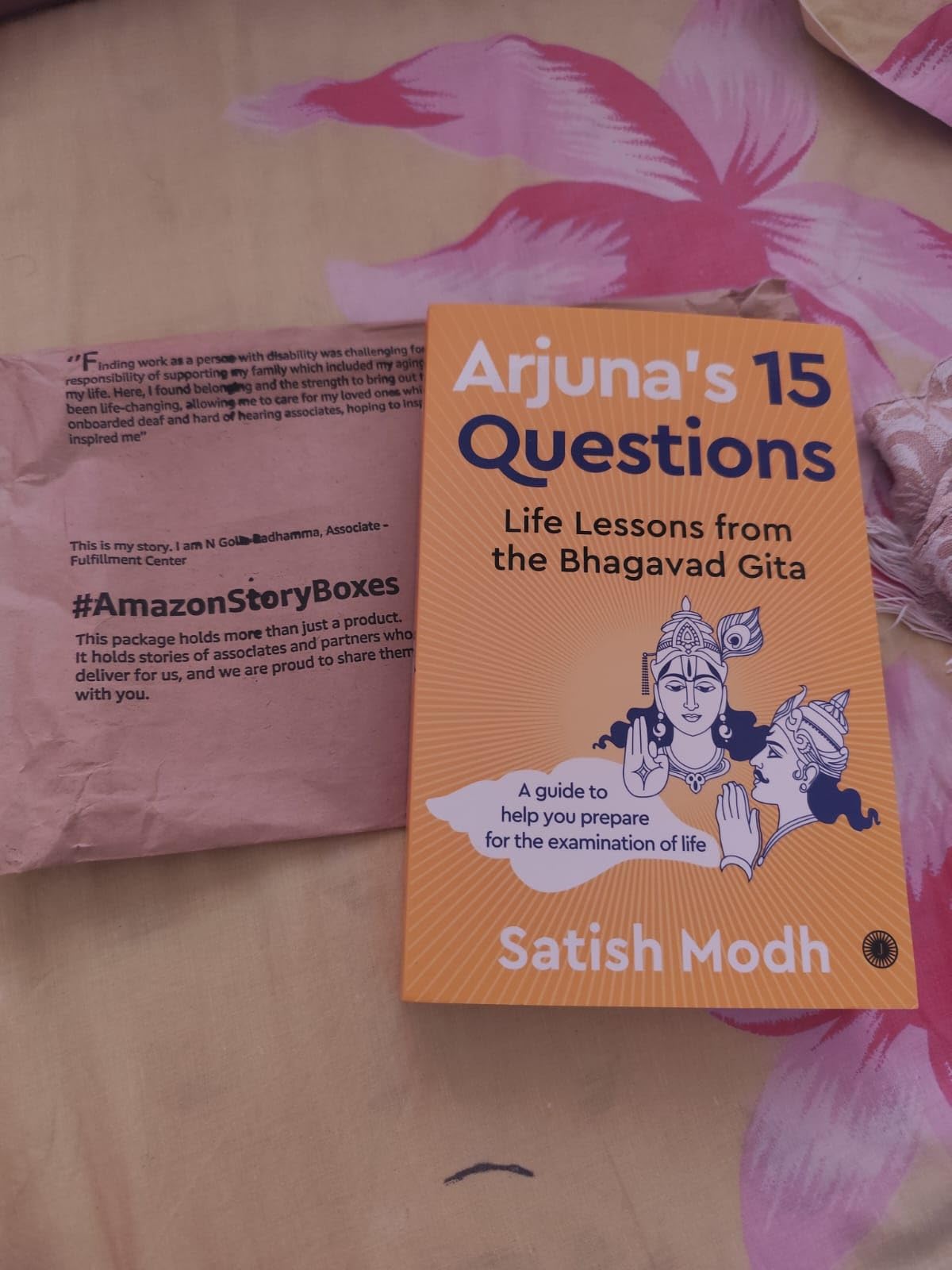 Arjuna's 15 Questions: Life Lessons from the Bhagwad Gita / A Guide to ...