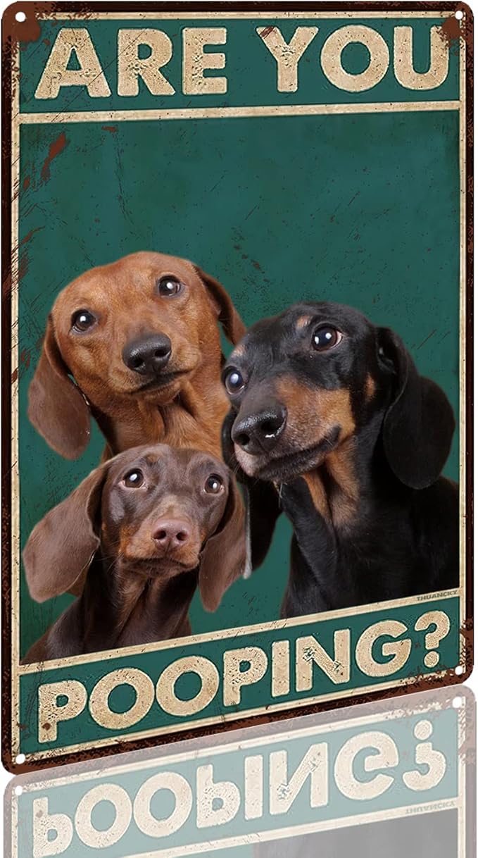 Amazon.com: Retro Tin Sign Vintage Dachshund Are You Pooping Funny ...