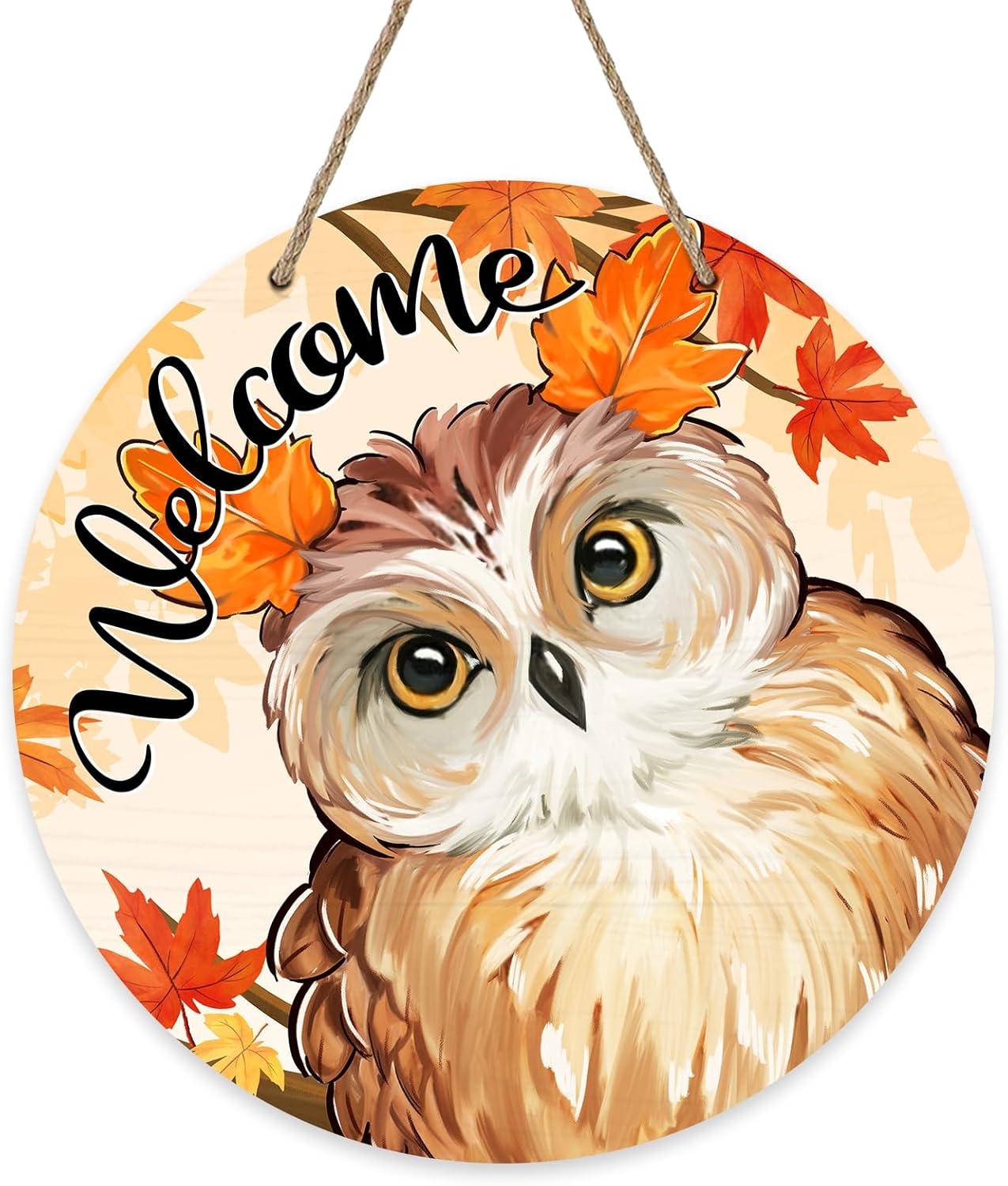 Amazon.com: Deroro Welcome Fall Owl Bird Sign for Front Door Decor ...