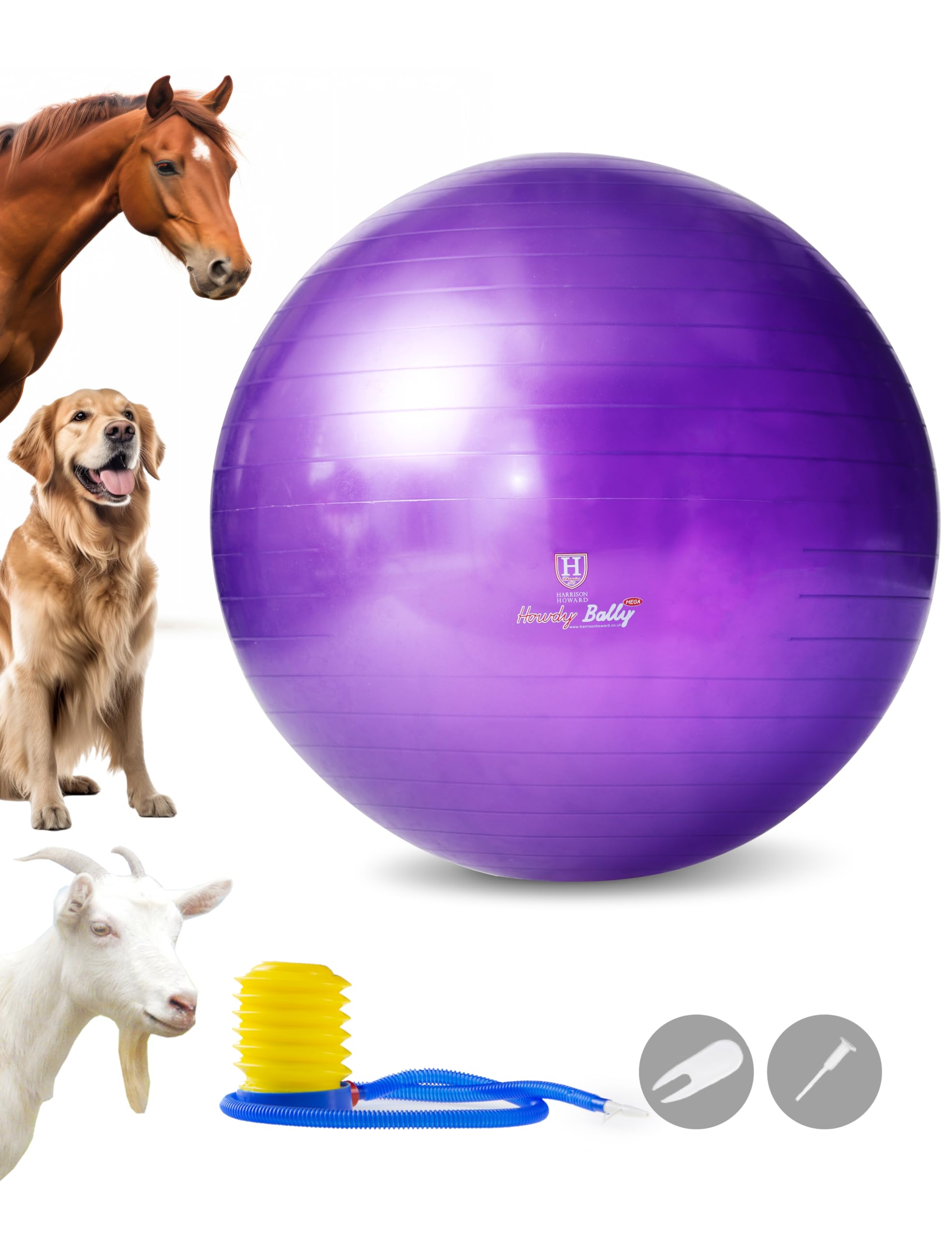 Snapklik.com : Howdy Bally Mega Horse Play Ball Anti-Burst Giant Horse ...