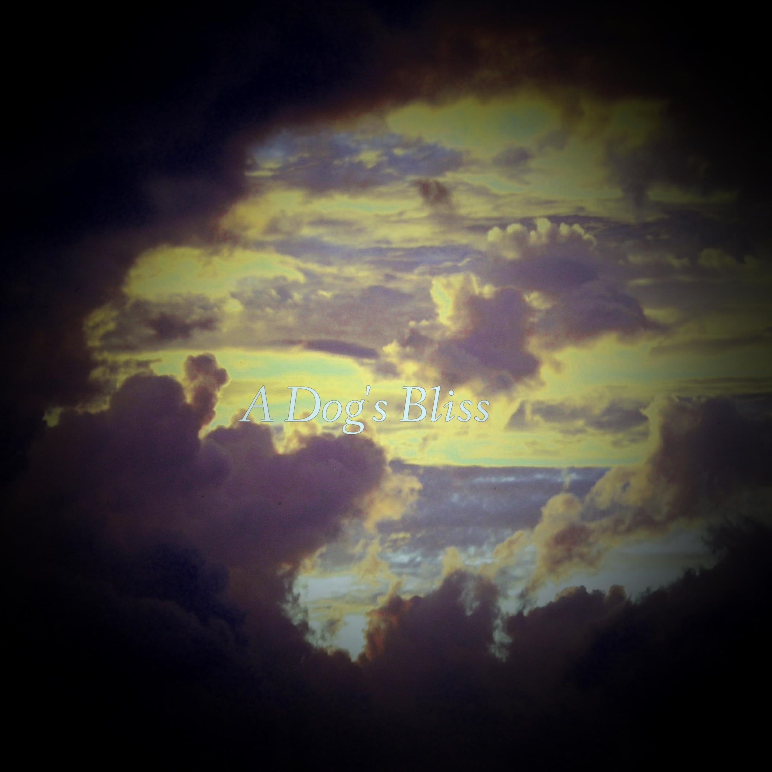 Delta Zen song by Lumenis from A Dog's Bliss on Amazon Music