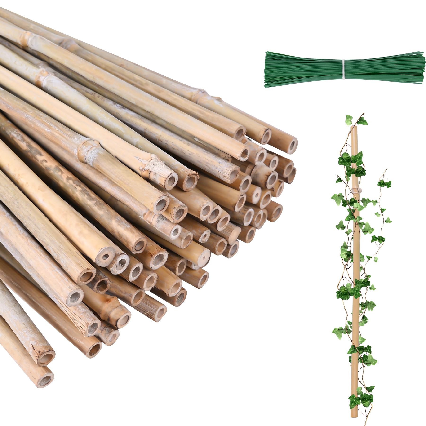 Amazon.com : Bamboo Sticks for Climbing Plants 16 Inch 60 Pcs Natural ...