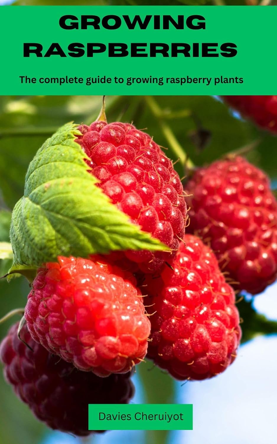 Amazon.com: GROWING RASPBERRIES : The complete guide to growing ...