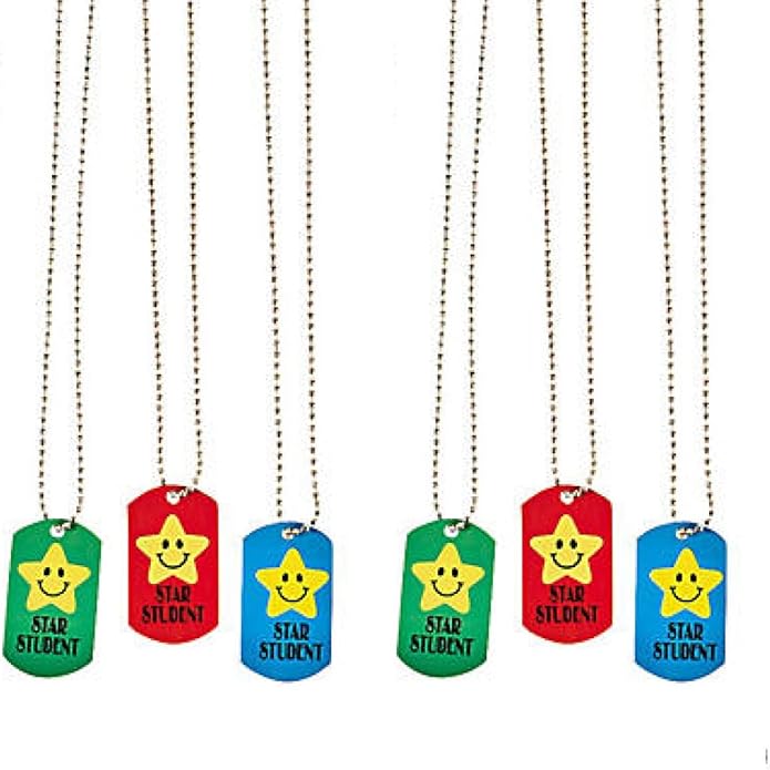Amazon.com: Biblebanz Star Student Dog Tag Necklaces – Classroom ...