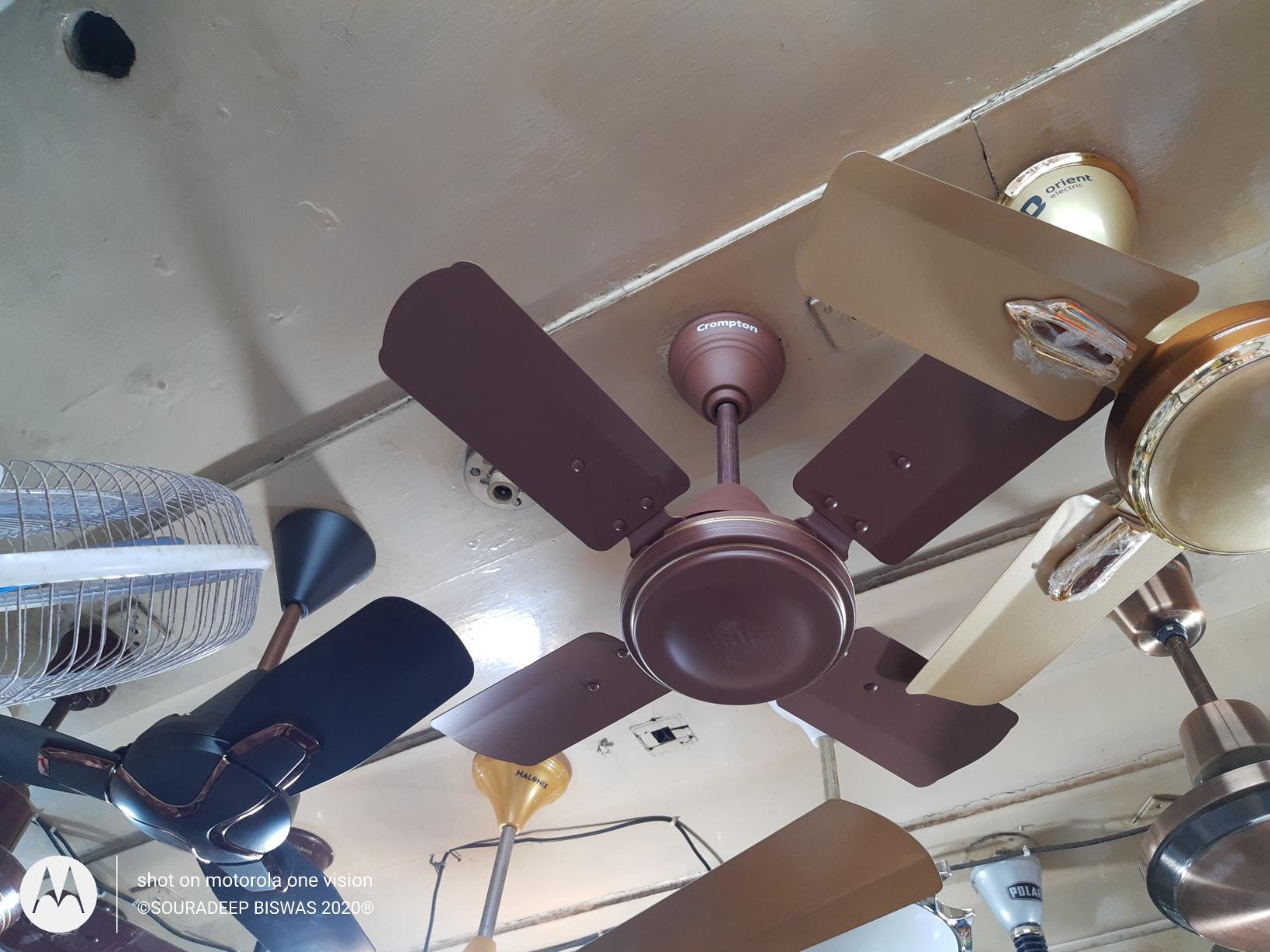 Buy Crompton High Speed Ivy 3B 1400 MM Ceiling Fan (White) Online at ...