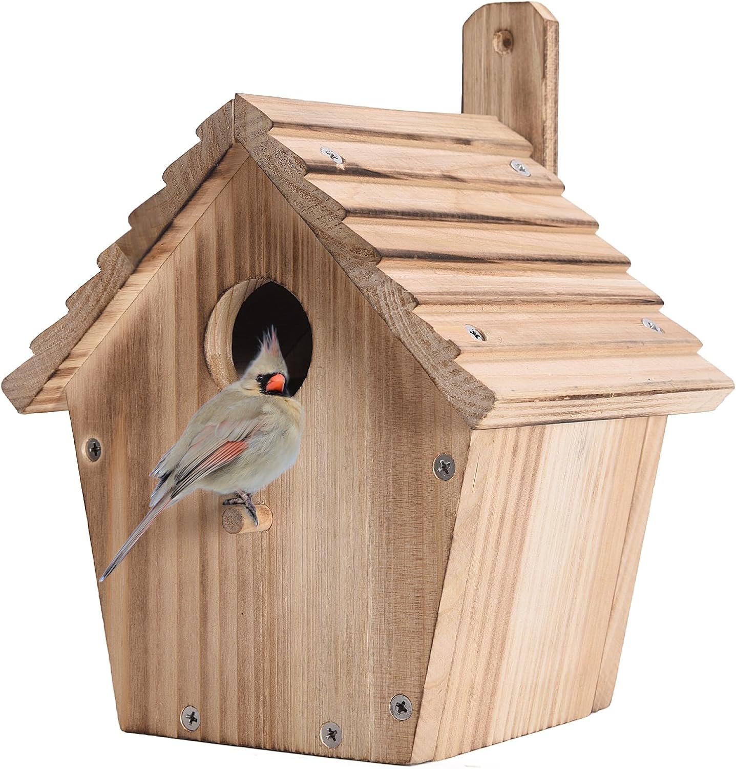 NATUREYLWL Bird House - Wooden Bluebird House for Outside - Hanging ...