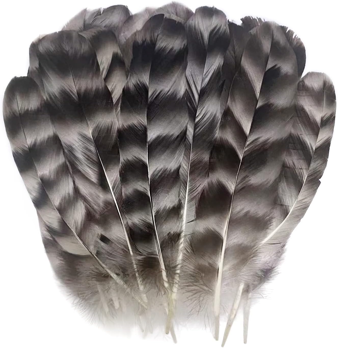 Amazon.com: 40pcs Natural Pattern Feathers 15-20cm Turkey Feather ...