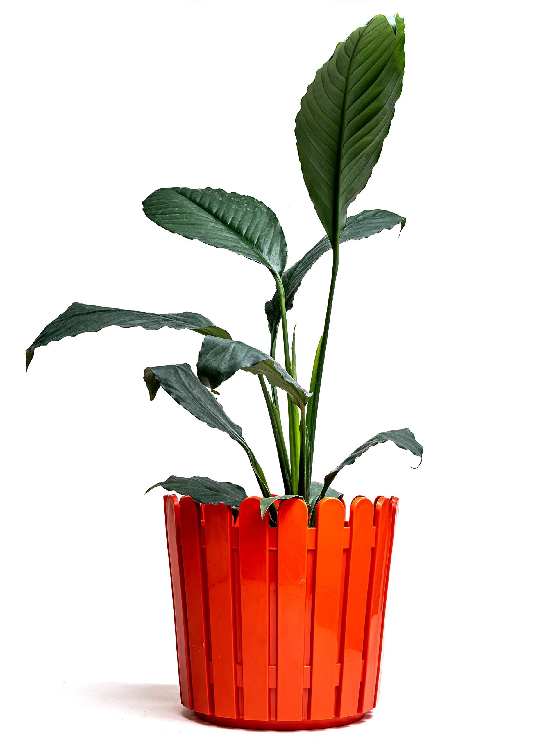 Nested Greens - Fence Pot 11” Inch | Indoor Plant Container | 11 inch ...