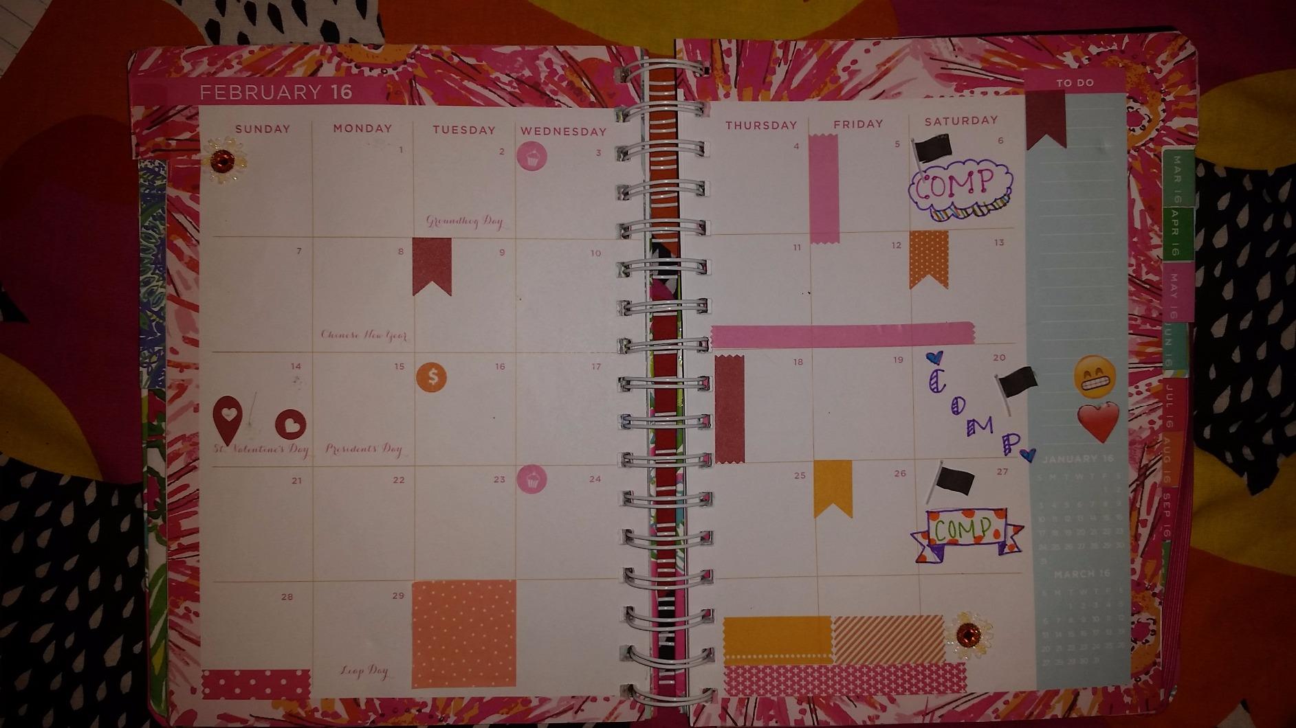 Amazon.com : 17 Month Large Agenda, Pink Lemonade : Office Products