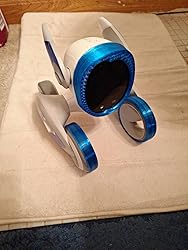 Amazon.com: Loona: Your Adorably Intelligent Petbot - Chat GPT-4o Enabled with Voice Command ...