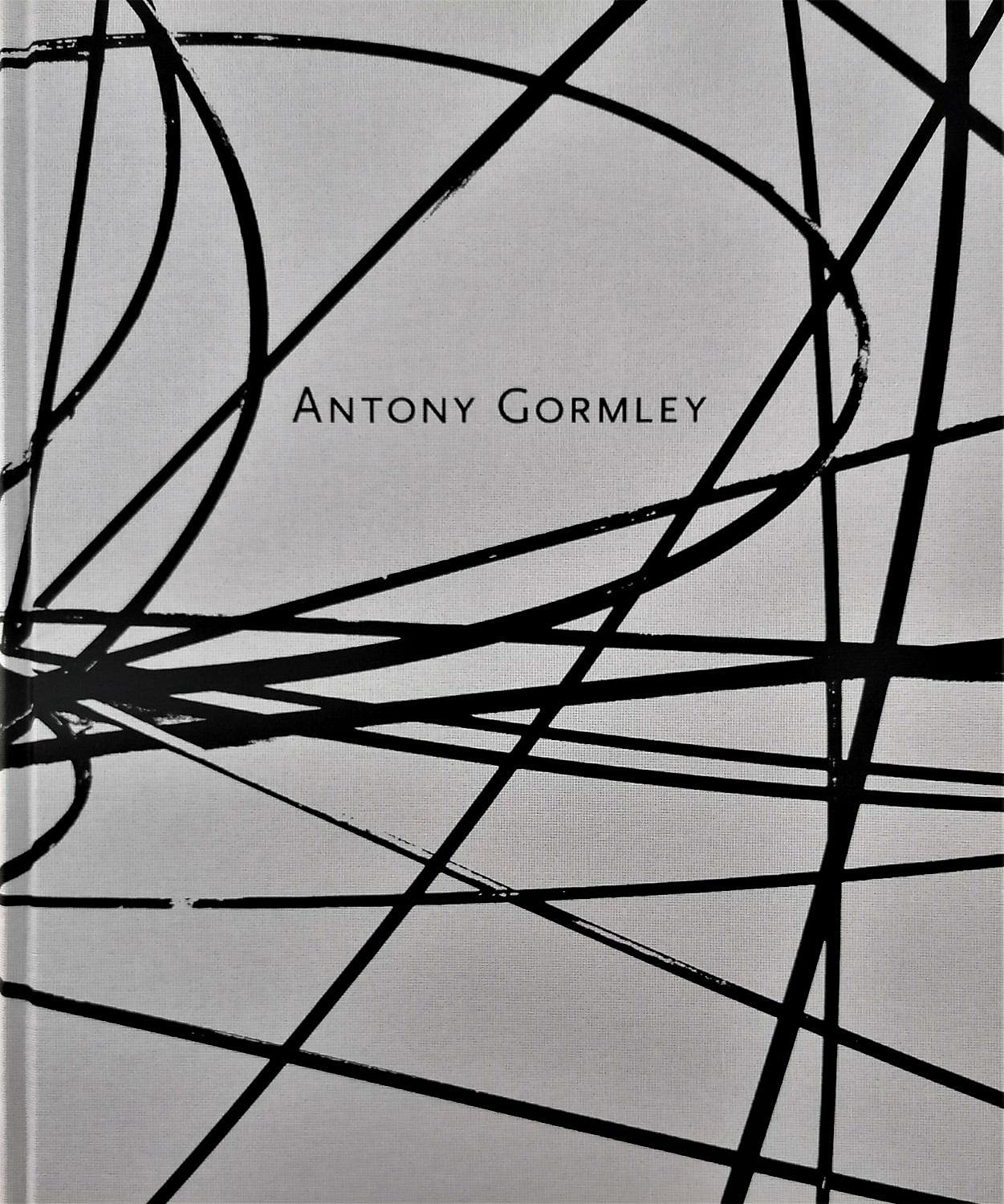 Antony Gormley: Noble, Richard, Mack, Michael, Gormley, Antony ...