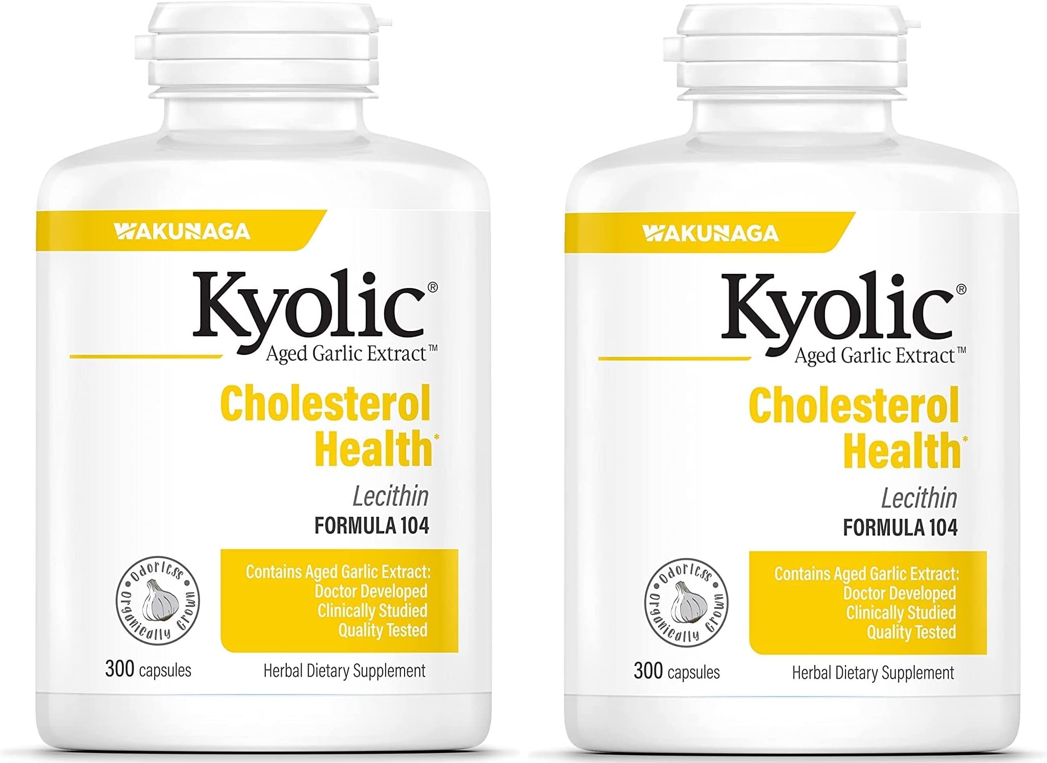 Amazon.com: Kyolic Aged Garlic Extract Formula 104 Cholesterol Health ...