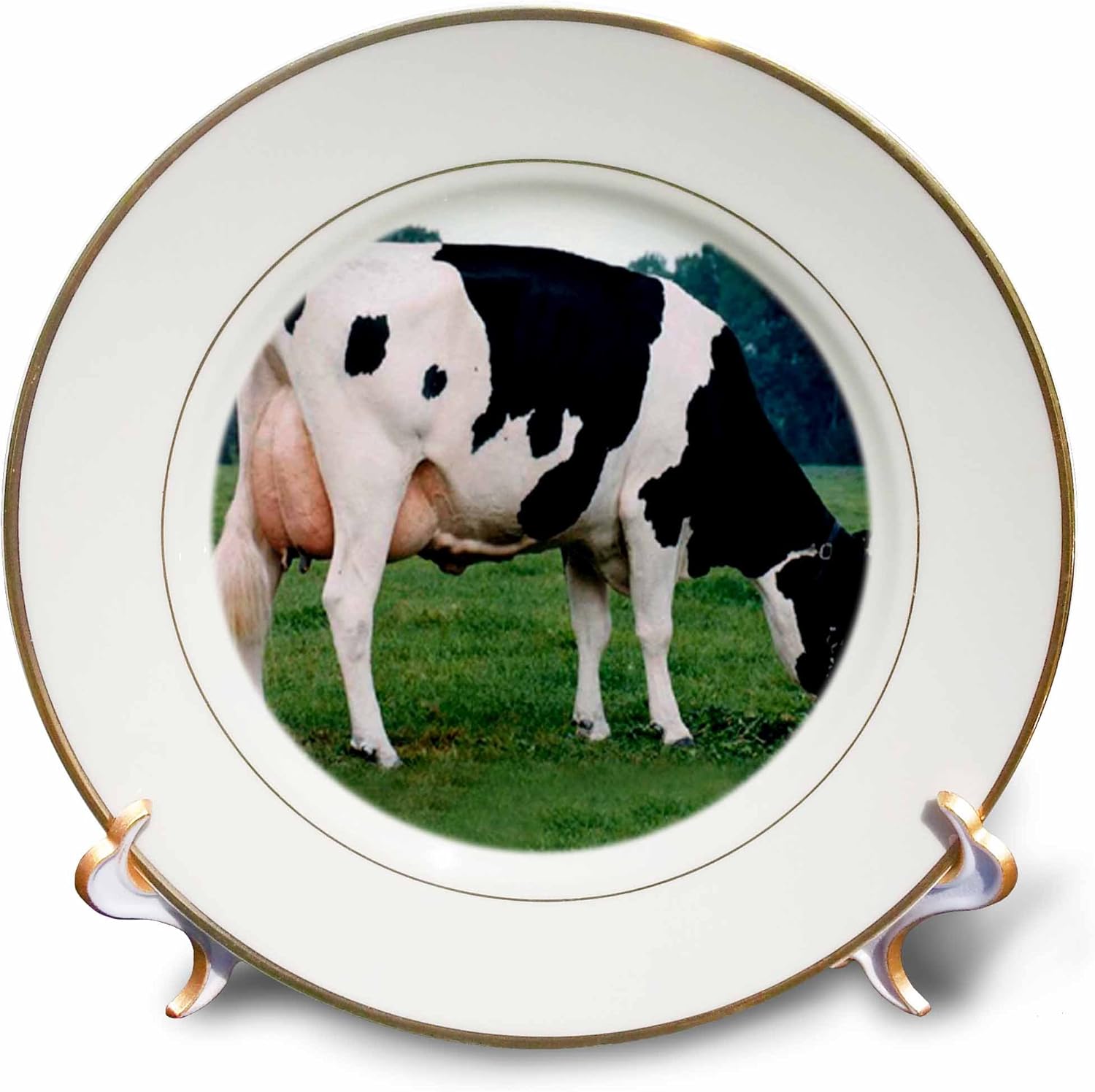 Amazon.com: 3dRose Holstein Cow - Porcelain Plate, 8-inch , 8 inch ...