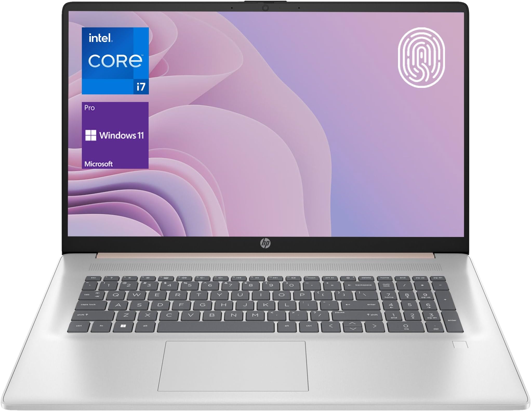 Amazon.com: HP Essential Daily Traditional Laptop, 17.3" FHD Display ...