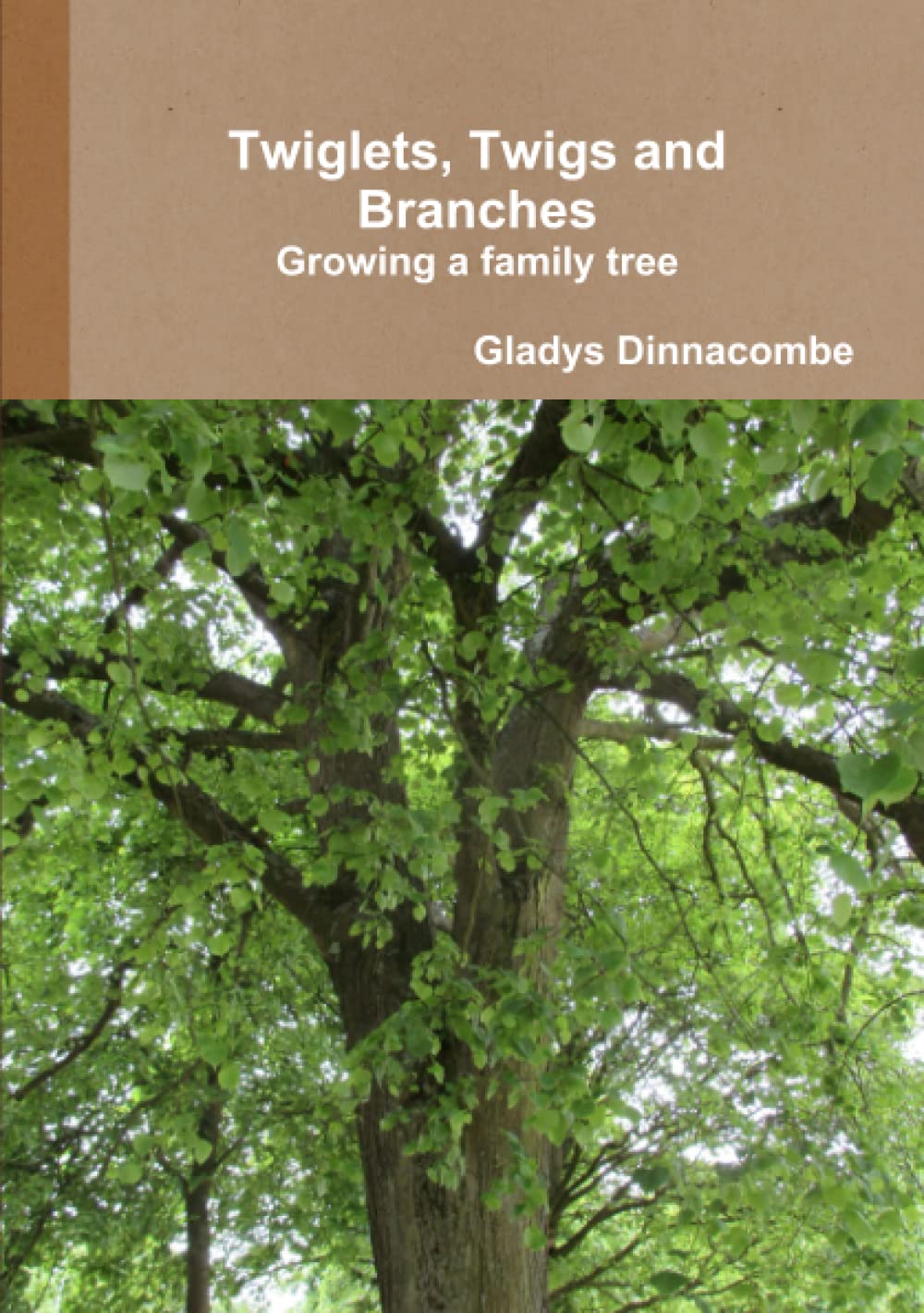 Buy Twiglets, Twigs and Branches: Growing a Family Tree Online at ...