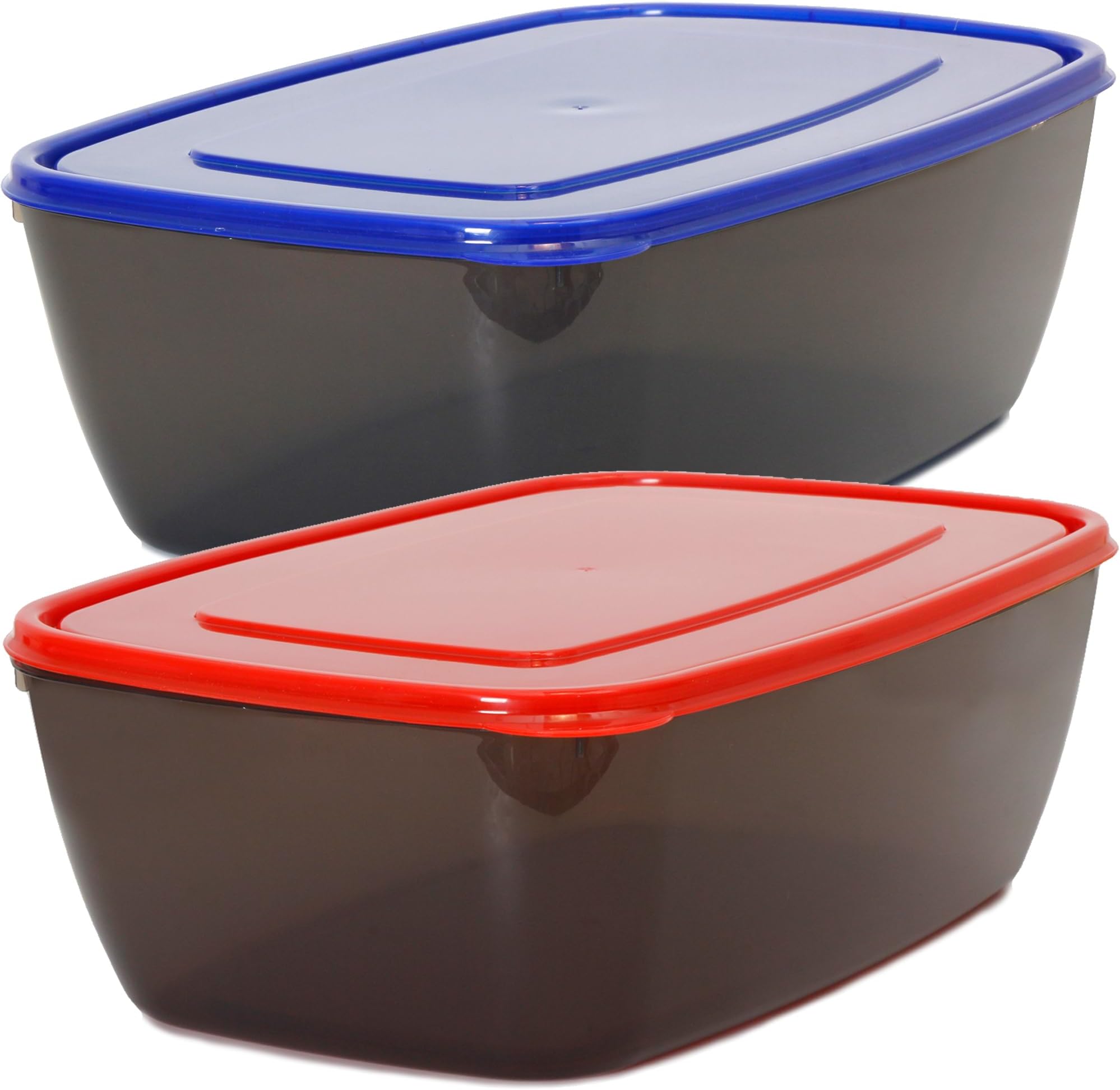 Amazon.com: Youngever 2 Pack Extra Large Food Storage Containers (2.5 ...