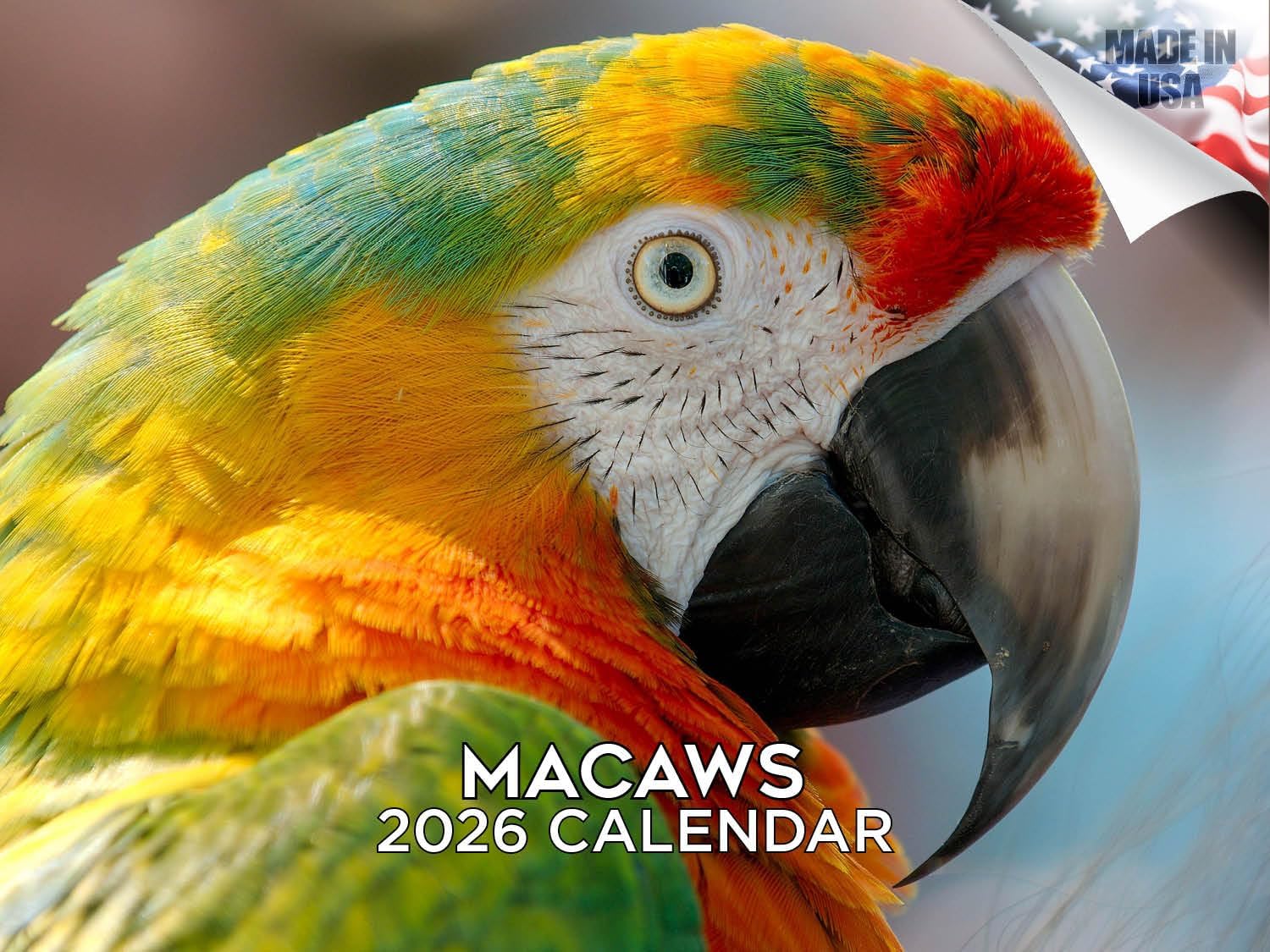 2025 2026 Macaws Calendar - African Birds Monthsly Wall Planner - 12" x ...