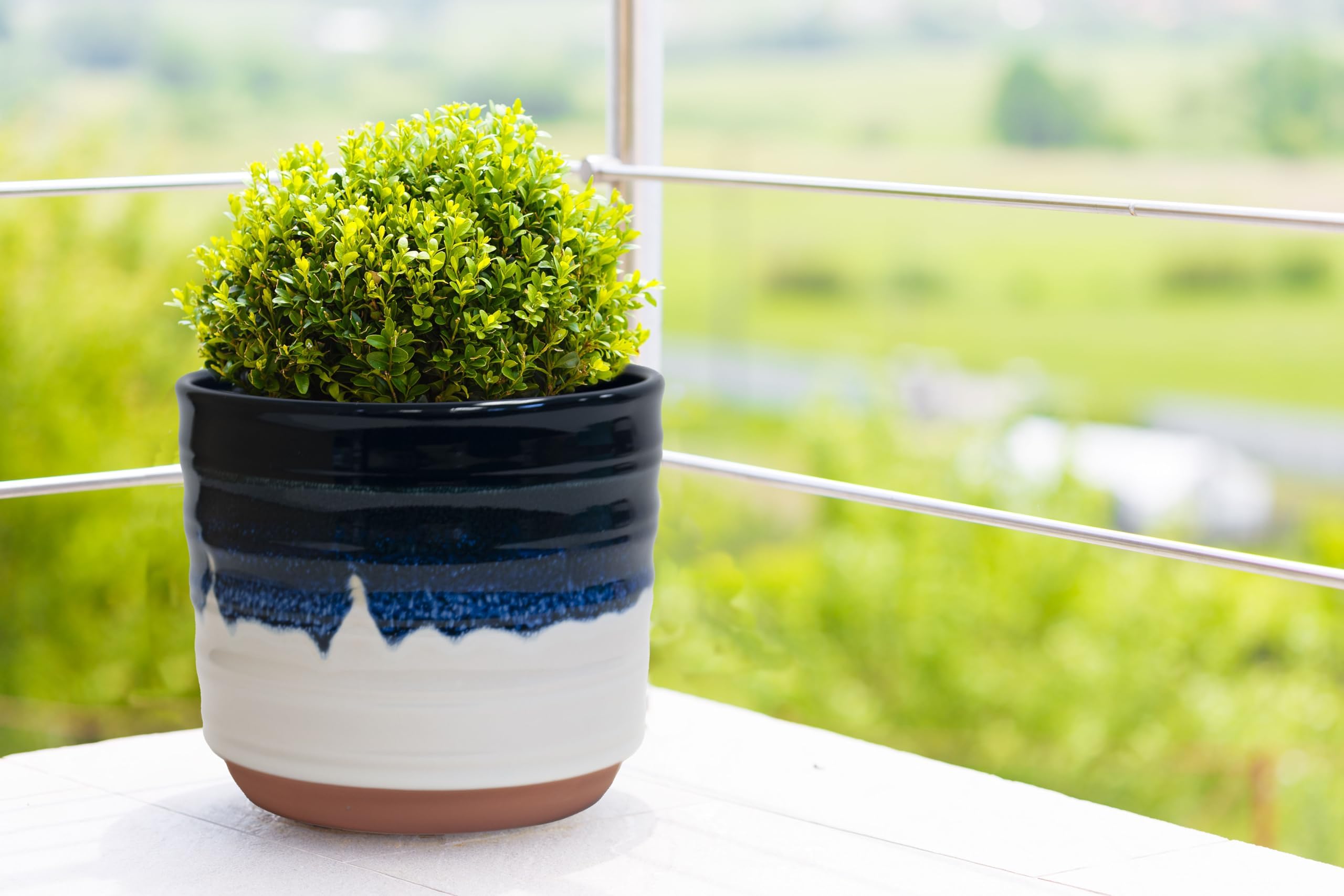 Amazon.com : Misco Round Footed Hombre Planter 5.51 Inch in Height ...