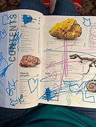 The Rock and Gem Book: And Other Treasures of the Natural World (DK Our ...