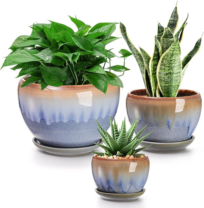 Amazon.com : AVLA 3 Pack Ceramic Plant Pots, Gardening Drip Glazed ...