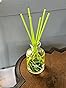 Amazon.com: SCENTORINI Citronella Reed Diffuser Set, 6.7 Fl Oz Scent ...