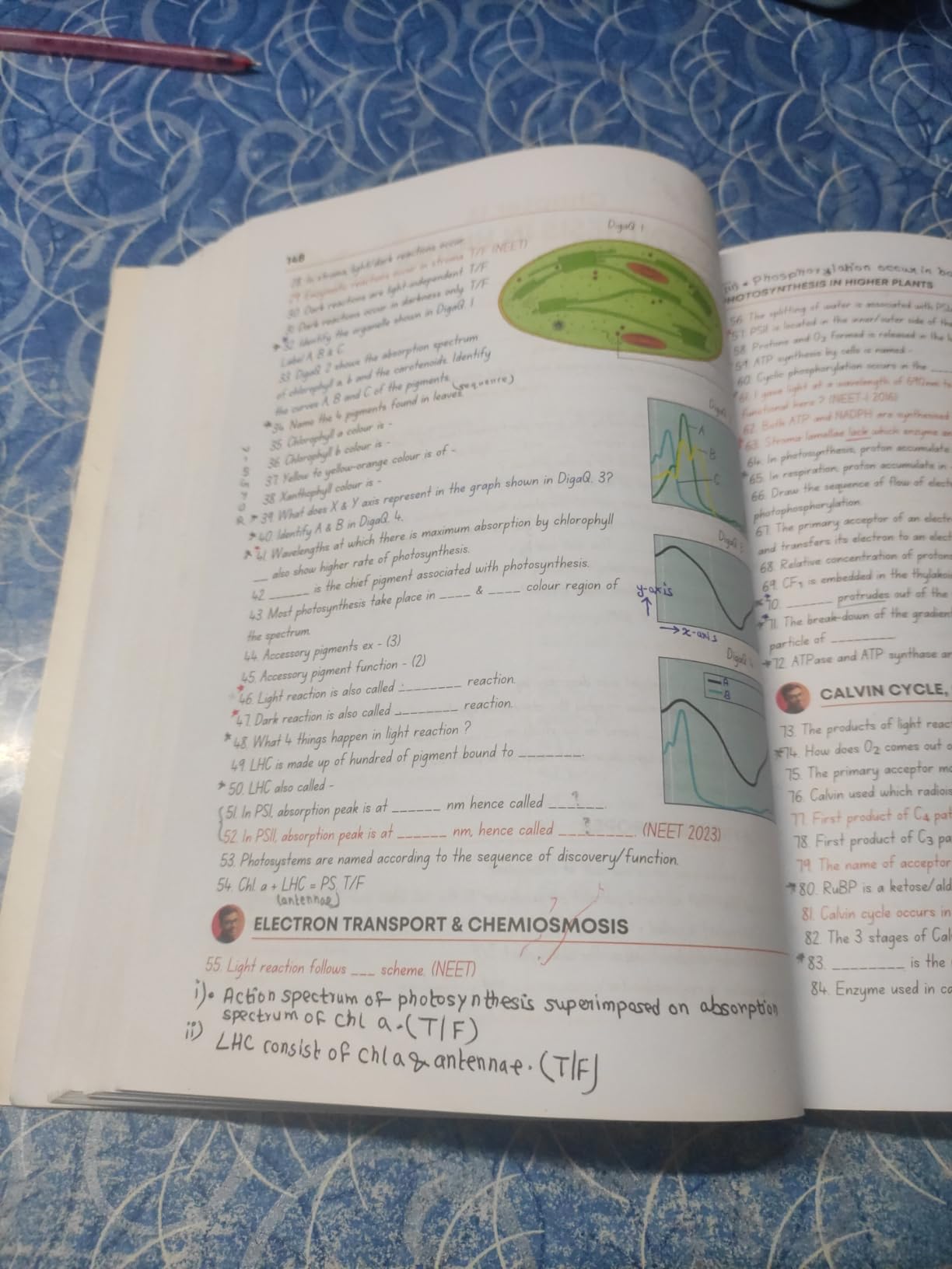 Buy BIOHACK : For NEET UG : Class XI & XII Biology (Colored, English ...