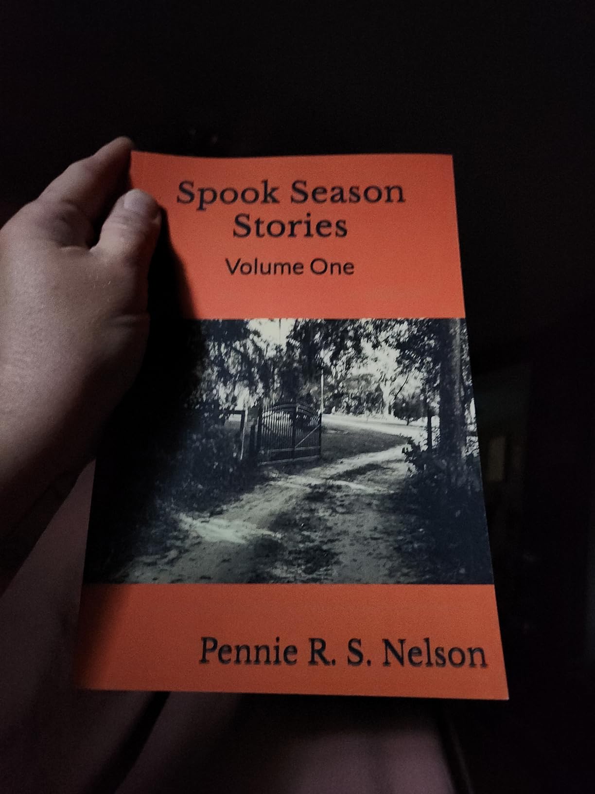 Amazon.com: Spook Season Stories: Volume One eBook : Nelson, Pennie R ...