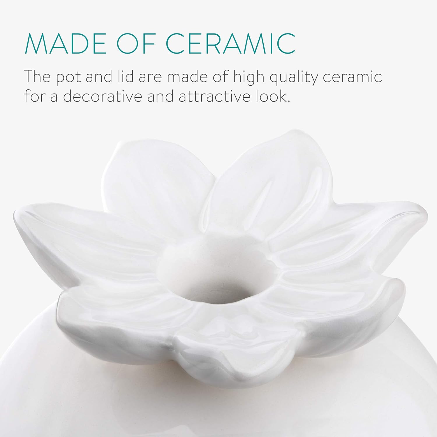 Navaris Ceramic Fruit Fly Jar – Create Your Own Fruit Fly Trap ...