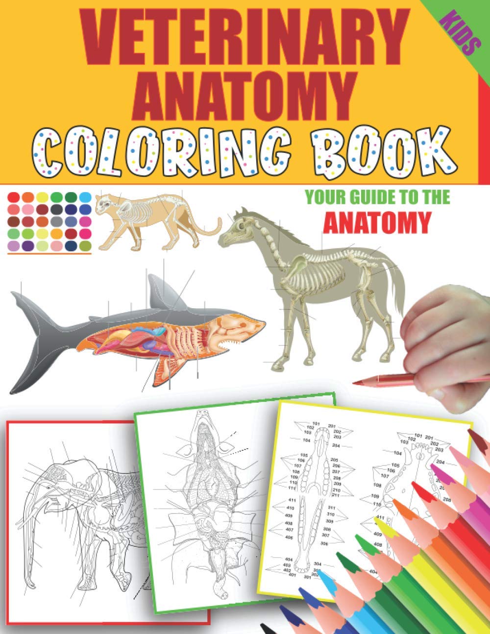 Veterinary Anatomy Coloring Book Animal Body Coloring Activity Book 