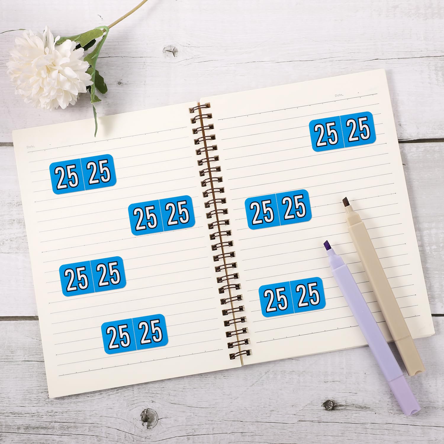 2025 File Folder Labels 500 Pieces Organization Stickers 500 Pcs 2025 ...