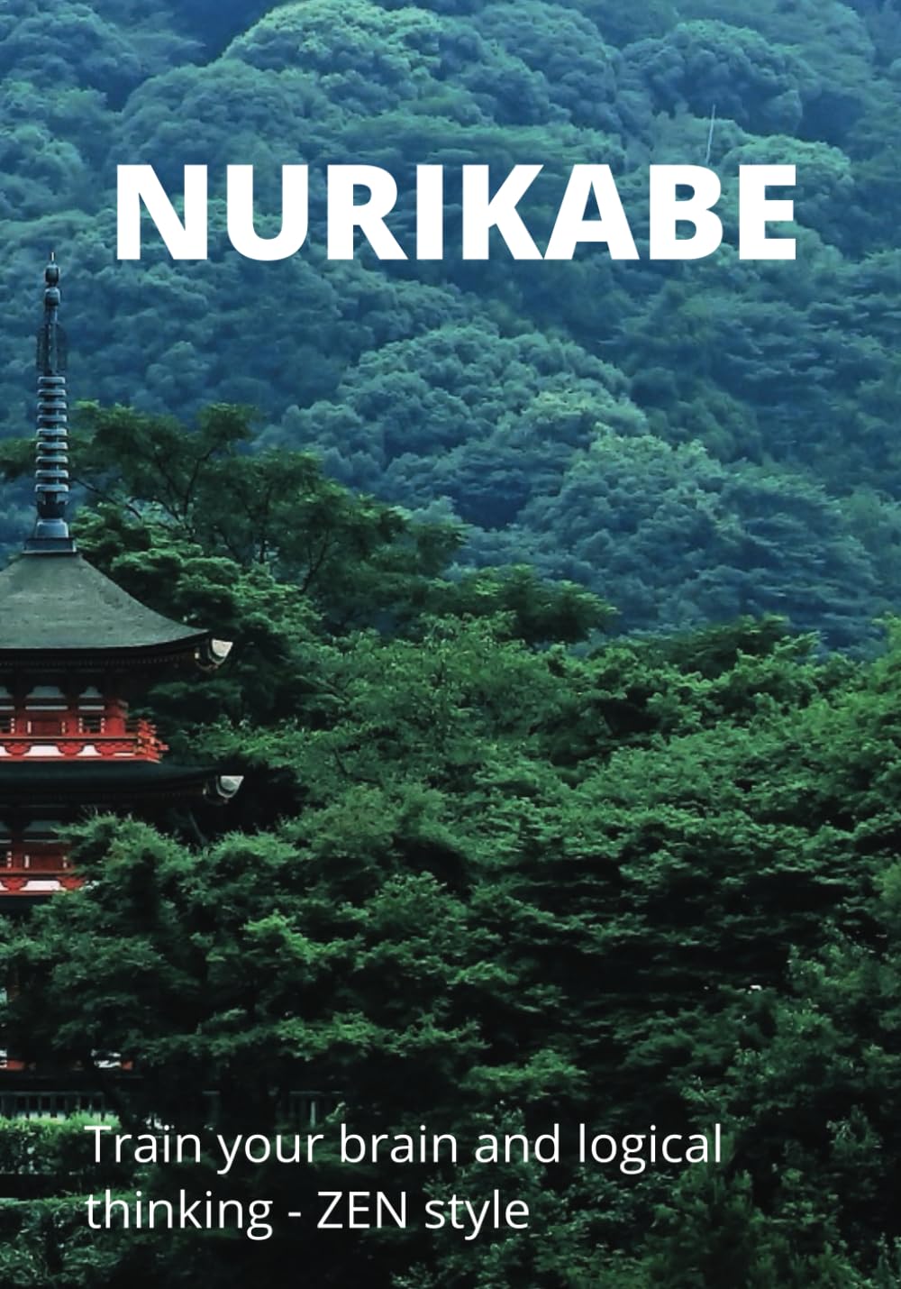 Nurikabe Train Your Brain And Logical Thinking Zen Style From ...