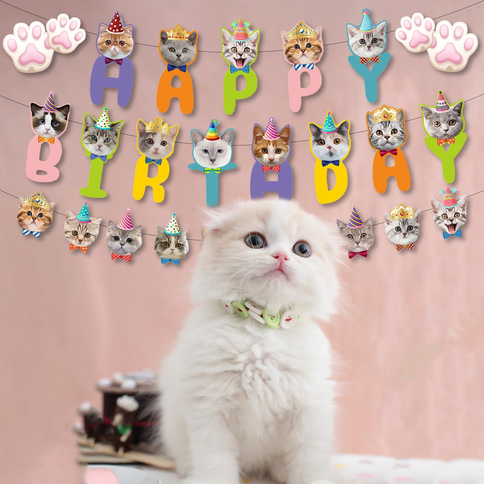 Snapklik.com : Cat Birtdhay Party Banner Decorations Set Of 3 Cat ...