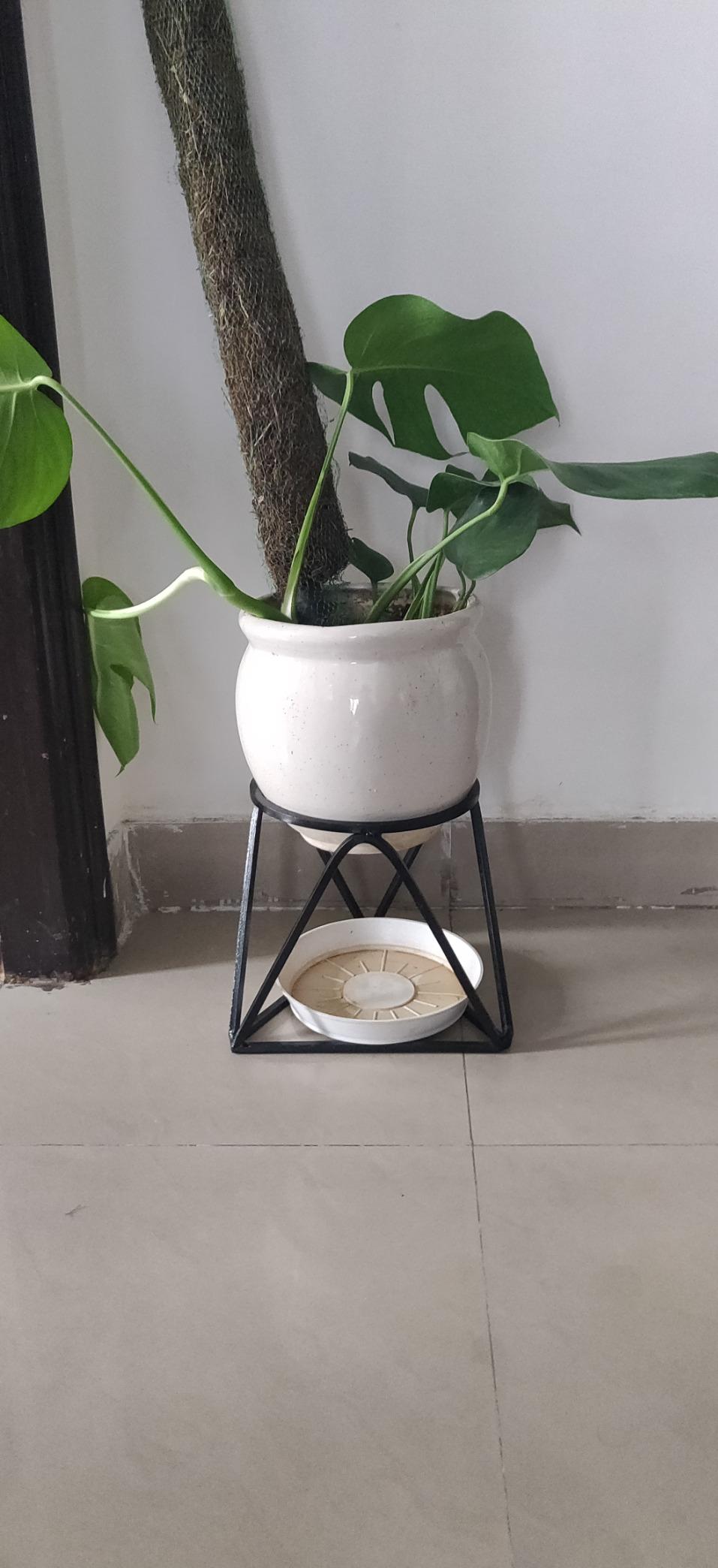 A One Steels Triangular Iron Plant Stands/Pot Stands/Planter Matka ...