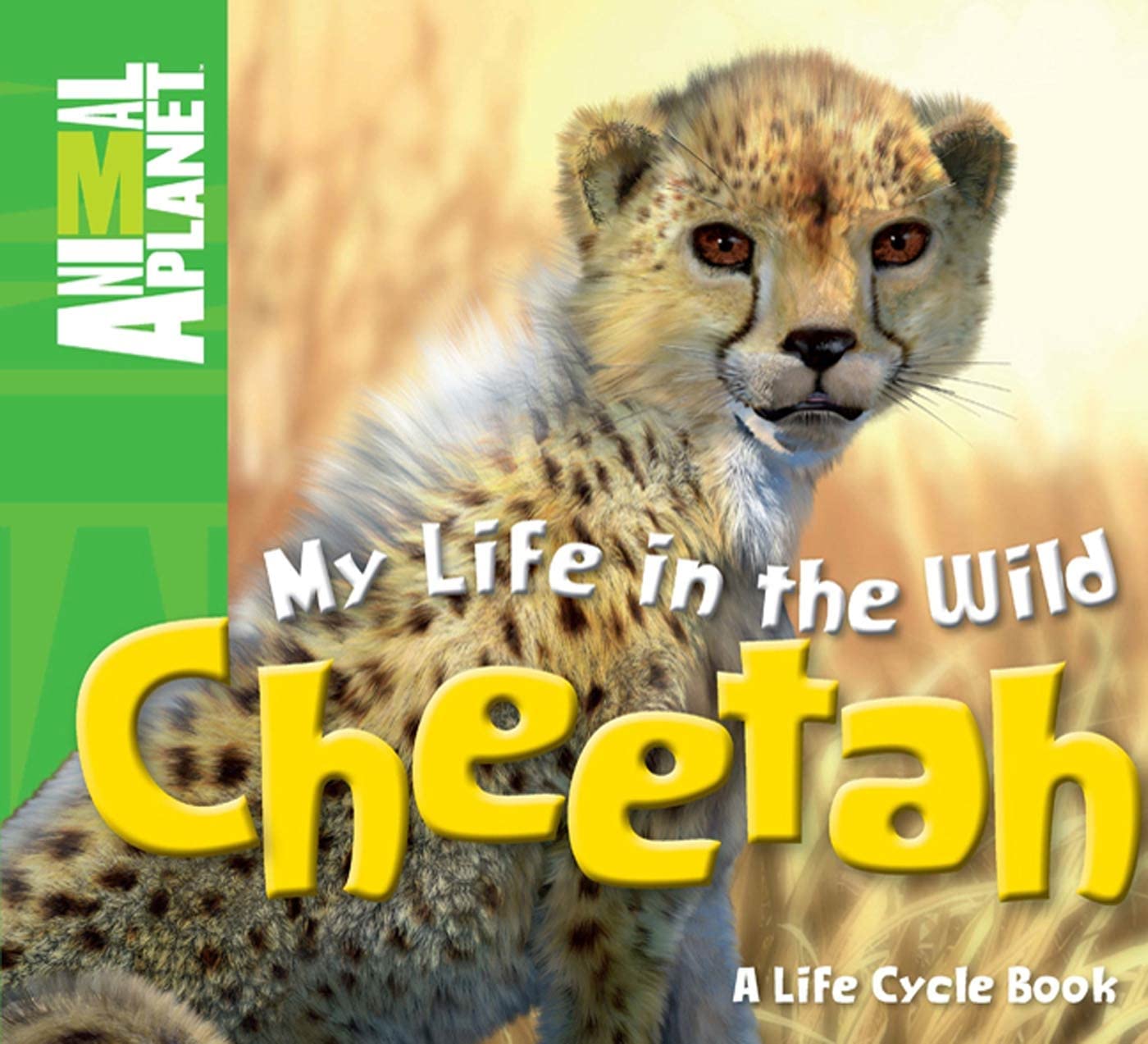 My Life in the Wild: Cheetah: Cheetah (Animal Planet): Whitfield, Prof ...