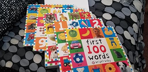 Amazon.com: First 100 PB Box Set (5 books): First 100 Words; First 100 ...