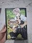 Demon Slayer - Kimetsu no Yaiba Vol. 17 | Amazon.com.br