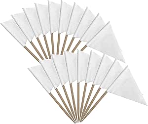 Amazon.com: 200 Pack Solid White Triangle Toothpick Stick Flag Small ...