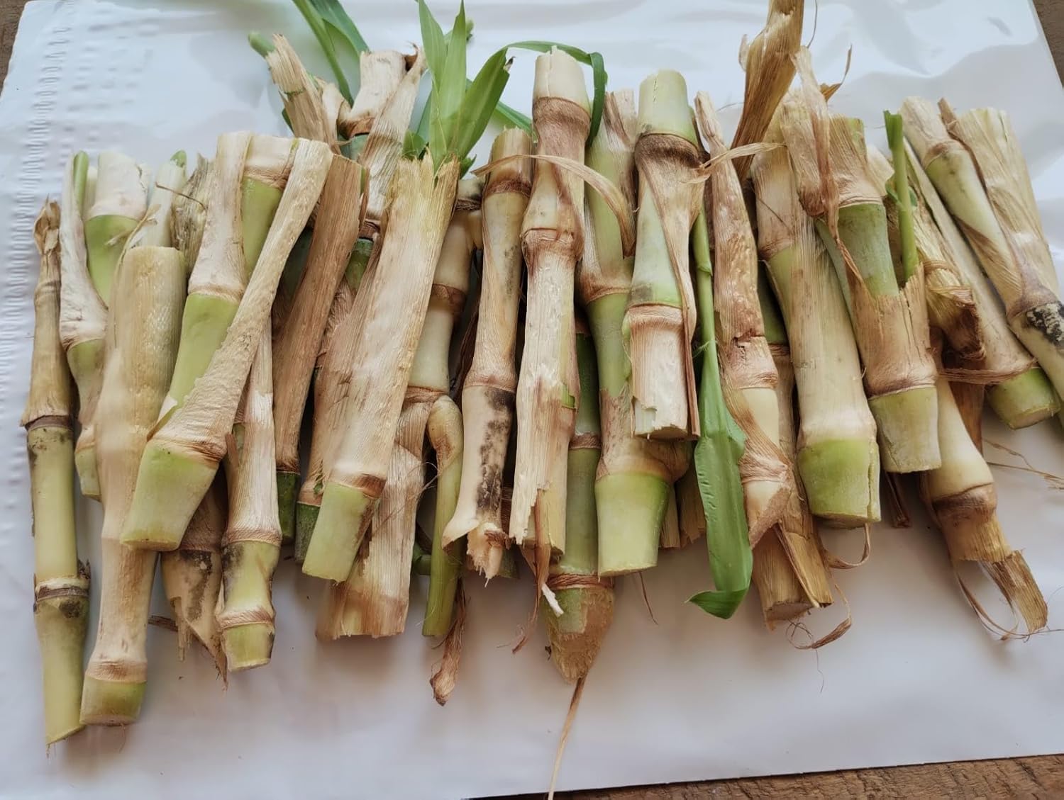 Smart Napier | Dwarf Napier Multicut Hybrid Grass sticks | Slips | Pack ...