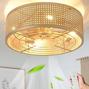 hummingbird 20 Inch Boho Ceiling Fans with Light Flush Mount, Rattan ...